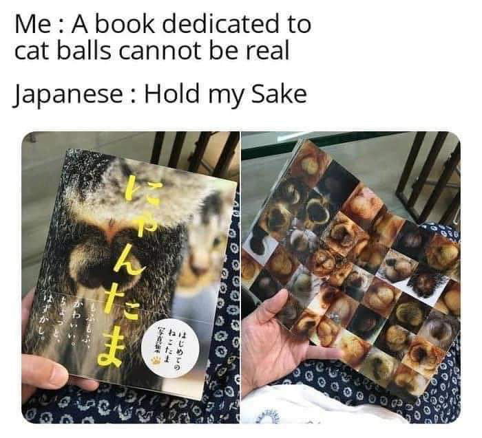 Look at these balls! Look! - 9GAG