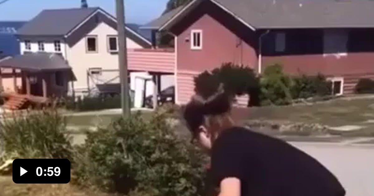 Huskies are so dramatic - 9GAG