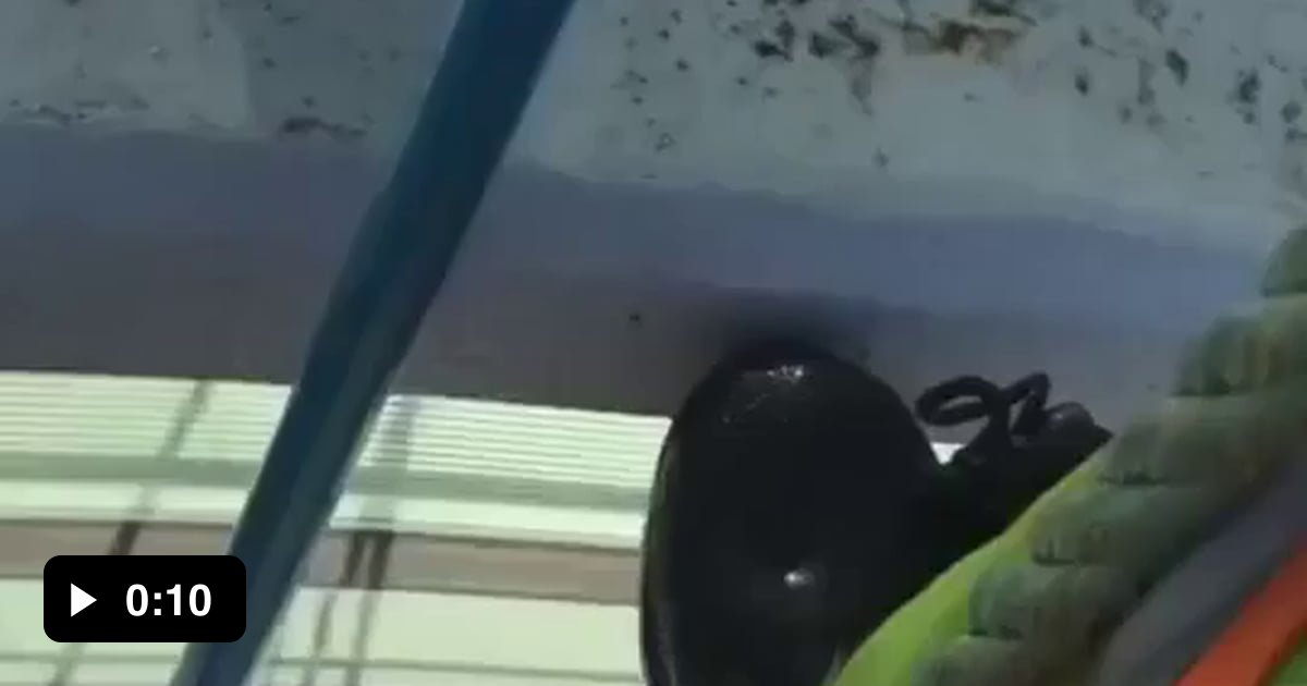 Window cleaners fun - 9GAG