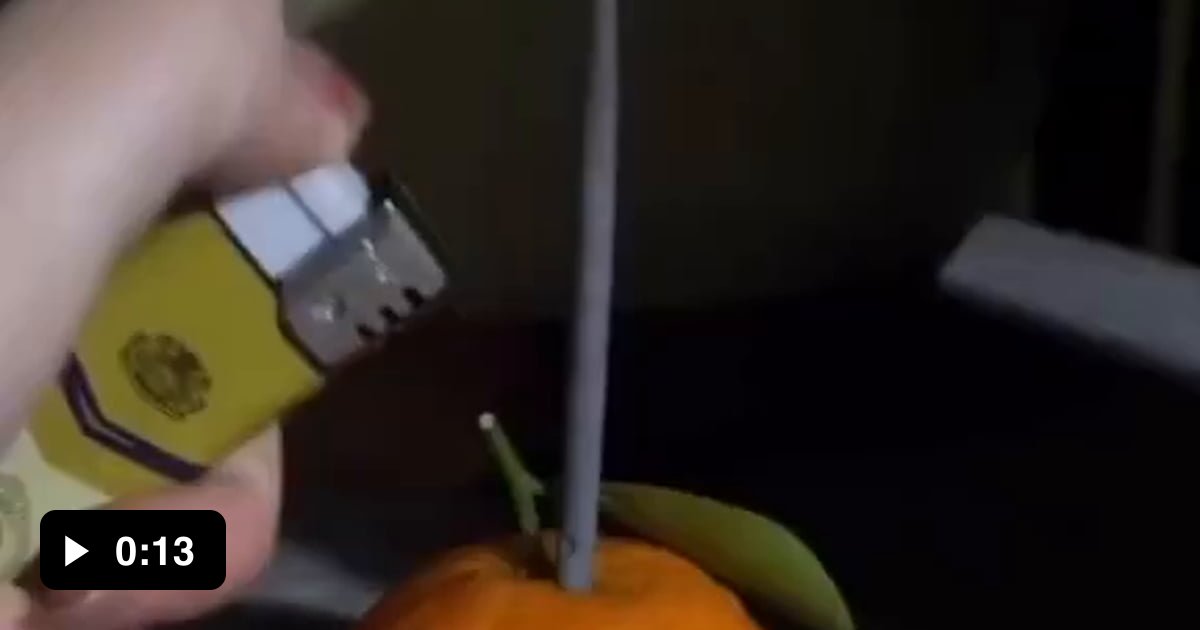 Birthday Orange 9gag