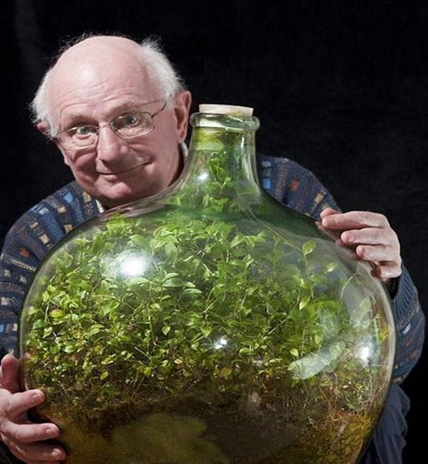 In 1960, David Latimer planted a garden inside of a giant glass bottle ...