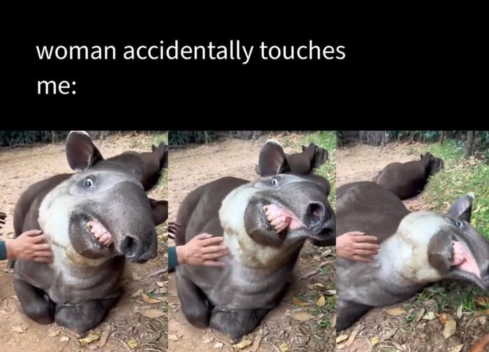 Need to go out more often - 9GAG