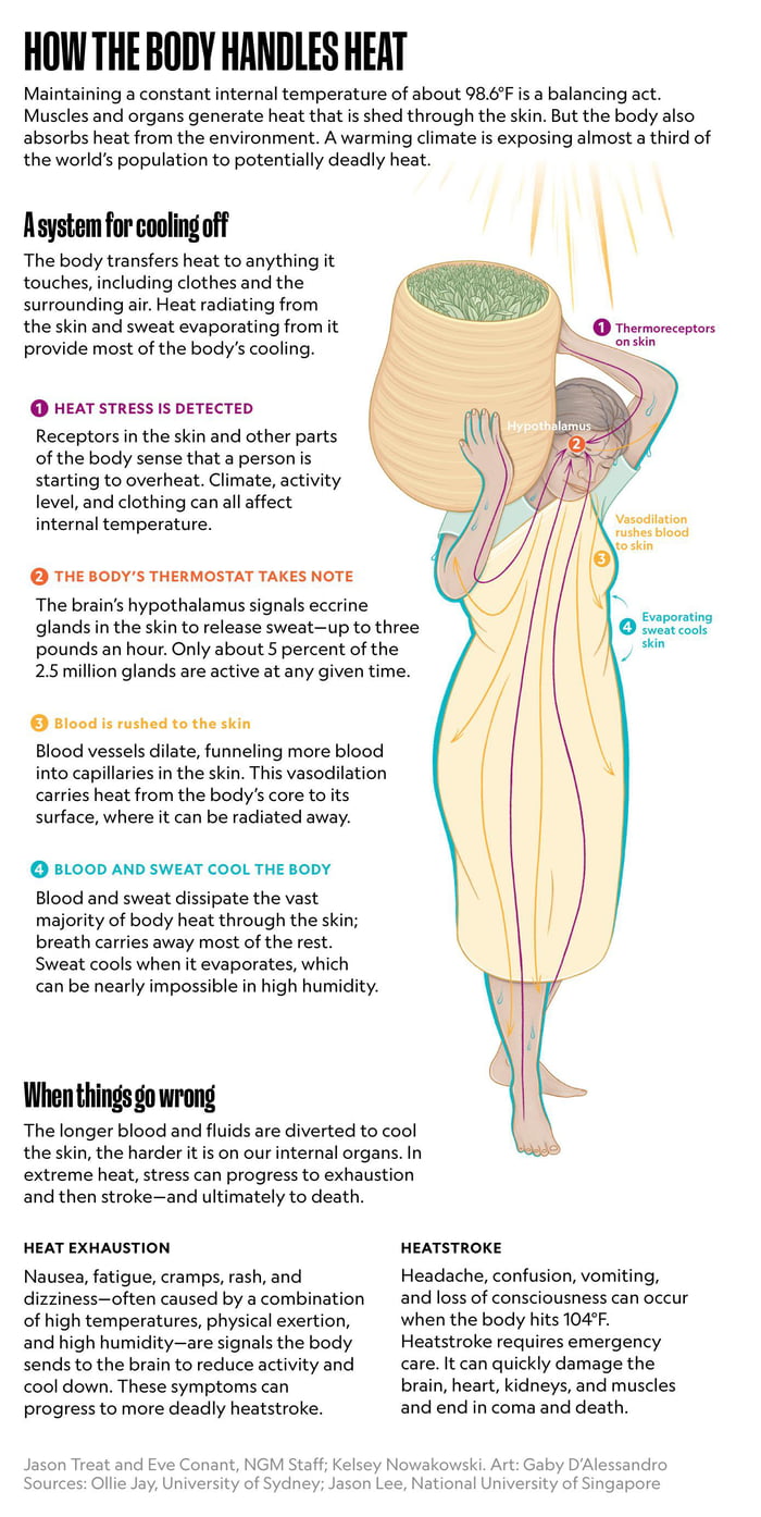 A cool guide on how the body handles heat - 9GAG
