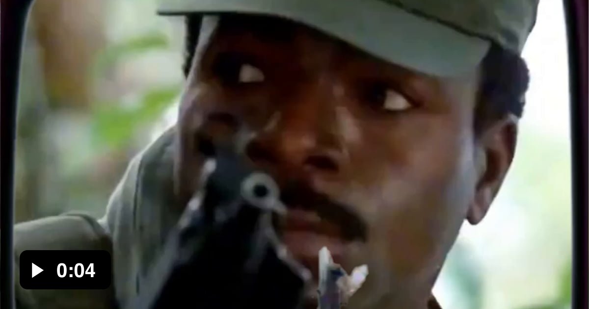 The second I grab something to swat a fly, they turn invisible. - 9GAG