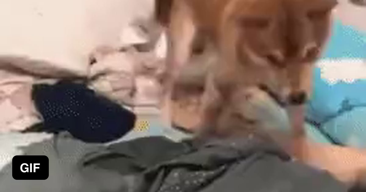 Touch my balls - 9GAG