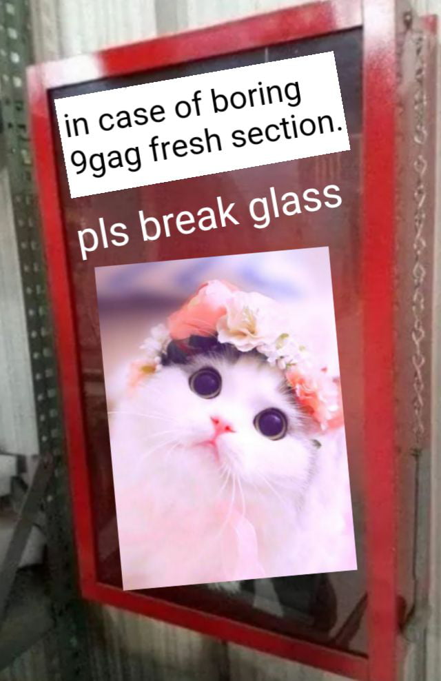 Hehe 9gag
