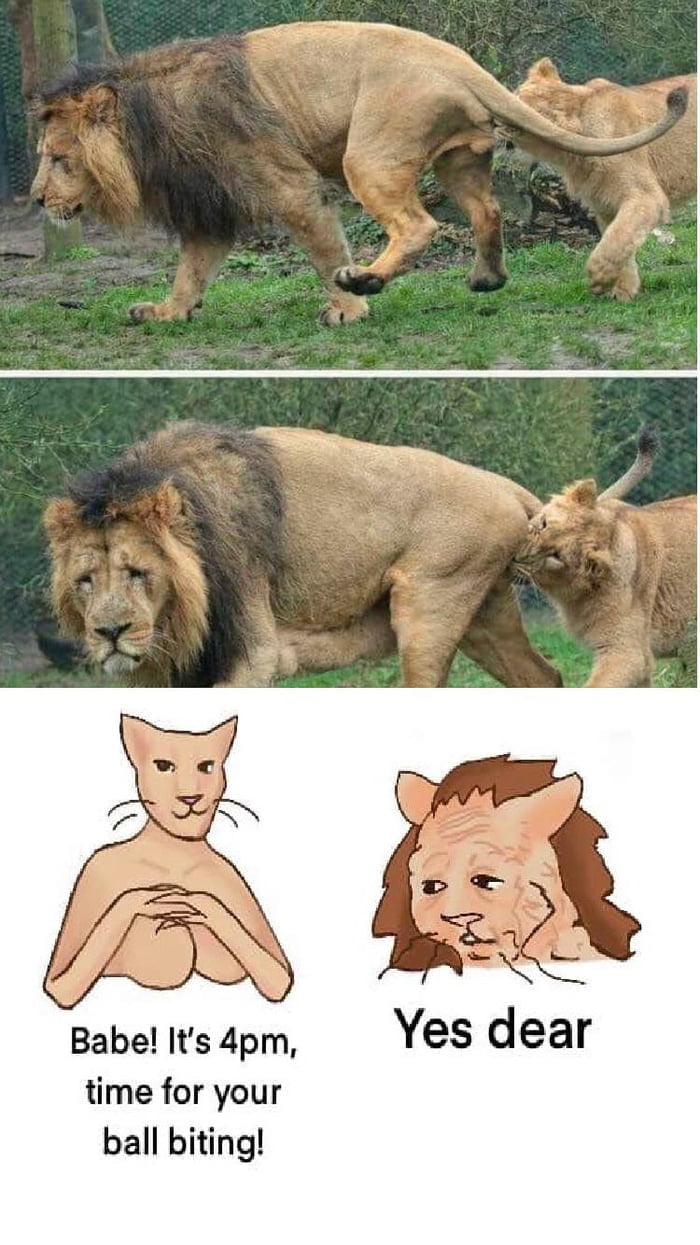 Alpha Female - 9GAG