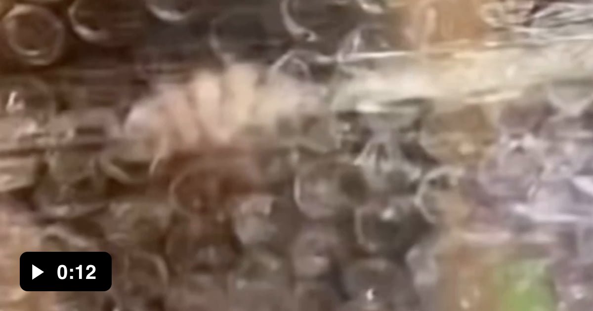 Good boi destroying bubbles - 9GAG