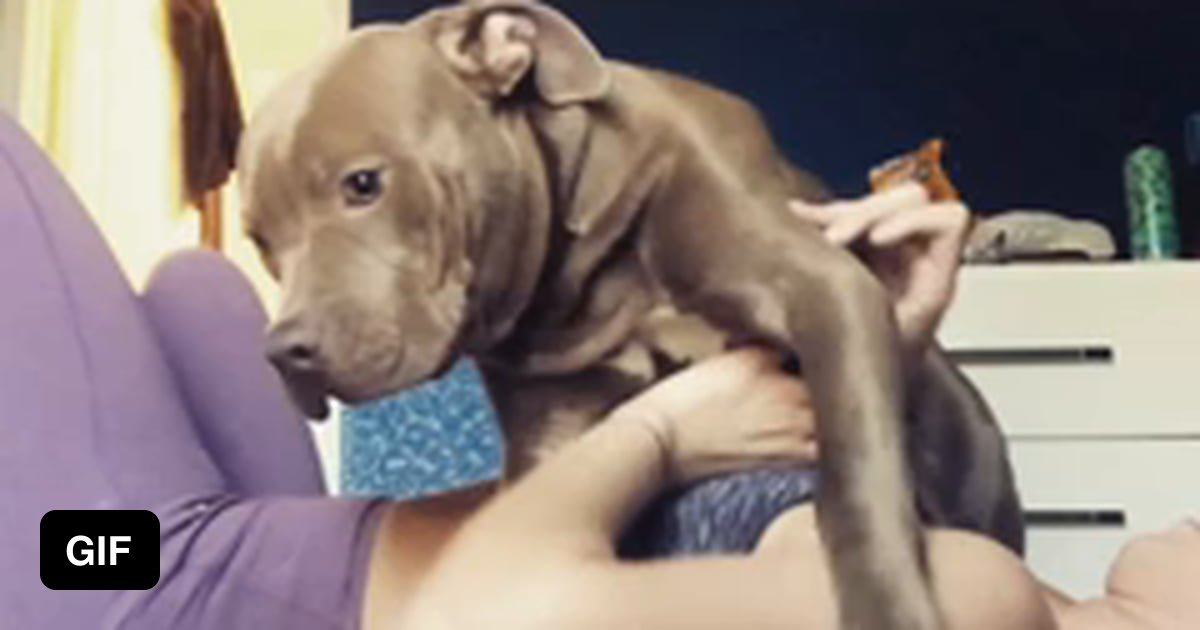 Pit life is fit life 💕 - 9GAG