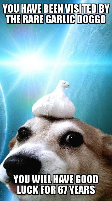 The god of garlic wishes you well - 9GAG