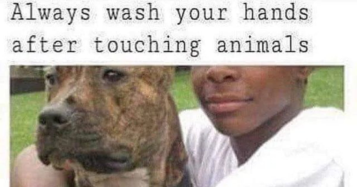 Keep em clean! - 9GAG