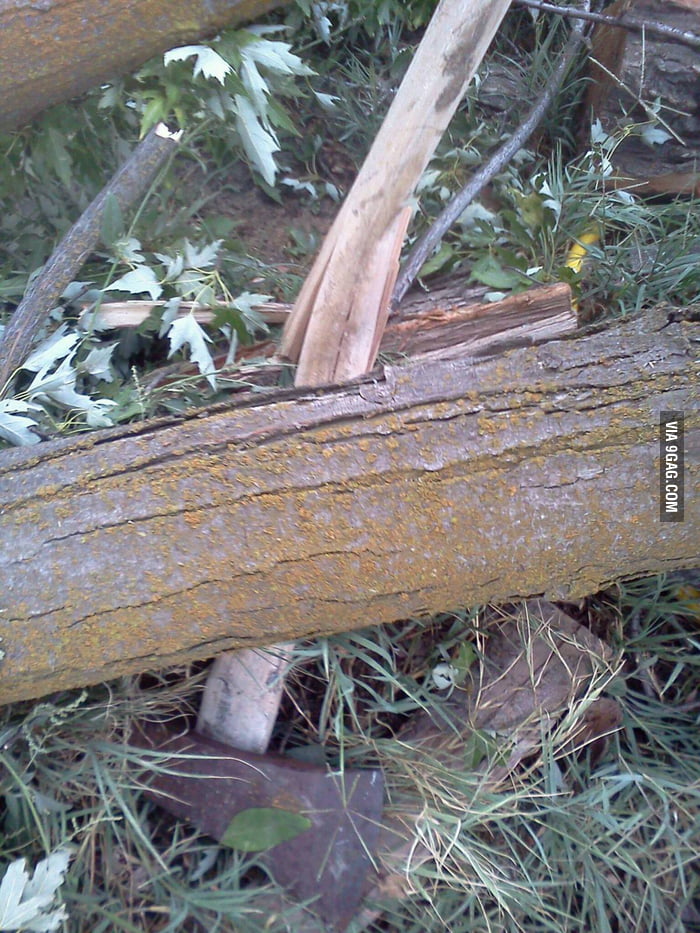 Oh the irony... A limb fell off my tree last night. - 9GAG