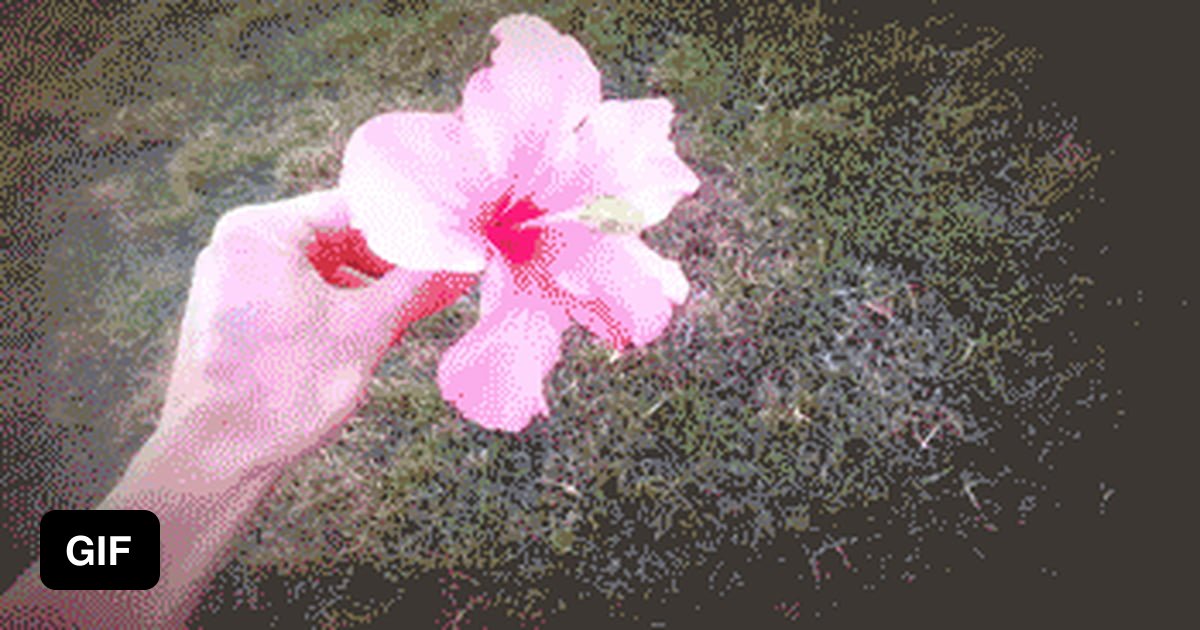 “Gimme that stupid flower.” - 9GAG