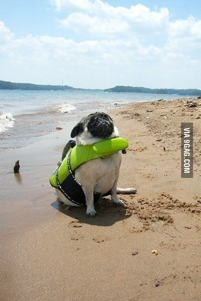 I'm ready captain ! - 9GAG