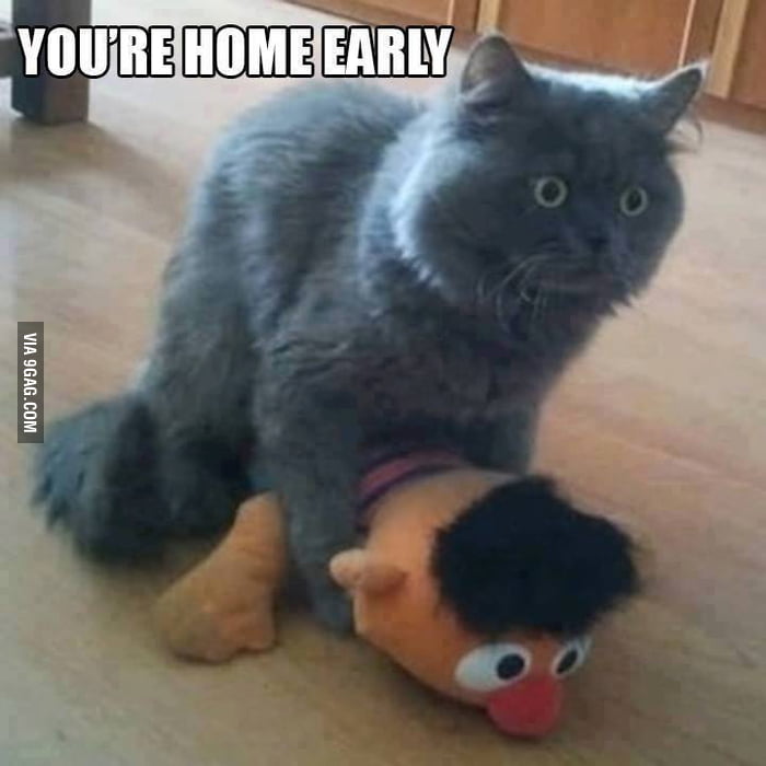 Uhh...gee Bert that was awkward. - 9GAG