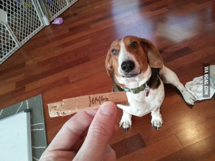 Well... it looks like someone will be shitting bricks tonight... - 9GAG