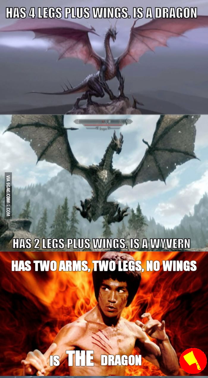 There is only ONE dragon - 9GAG