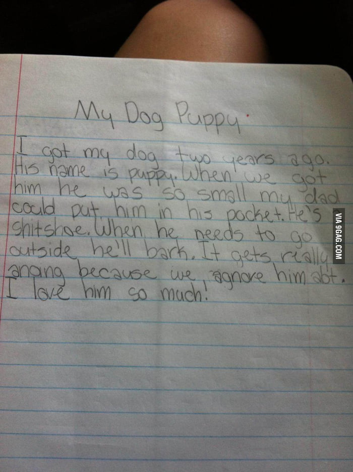 Yeah my dog names puppy the little shitshoe - 9GAG