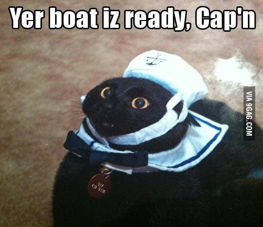 Captain snuggle cat, you're boat is ready - 9GAG