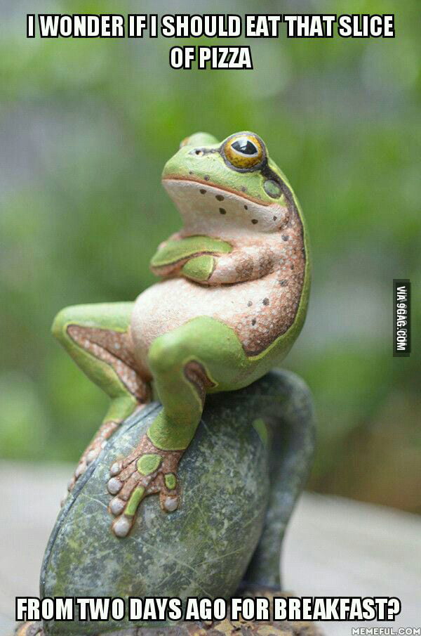 Pensive foul bachelor frog. - 9GAG