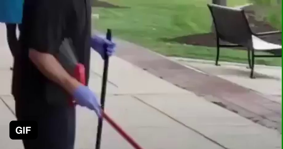 It just went limp in her hand. - 9GAG