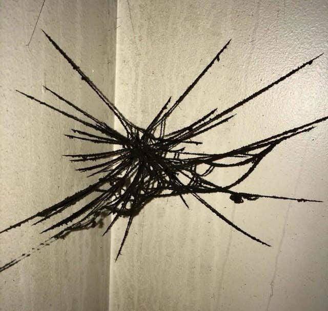 If you wondered what a soot covered spider web looks like - 9GAG