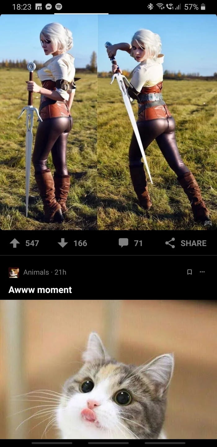 Awwwww moments indeed - 9GAG