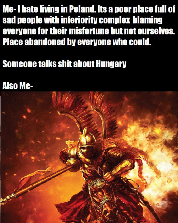 And then the Winged Hussars arrived - 9GAG