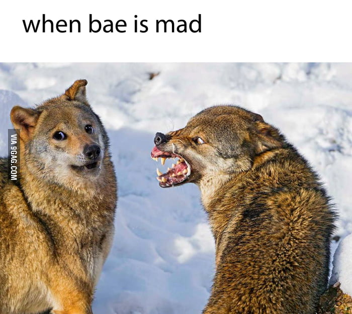When bae is mad - 9GAG
