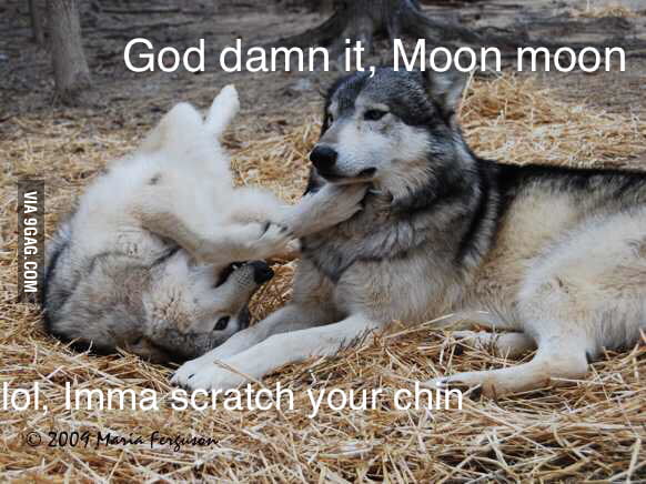 God damn it, moon moon. - 9GAG