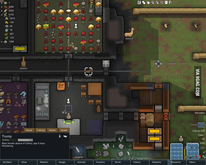 Was playing a bit a Rimworld when my colonists decided to name an ...