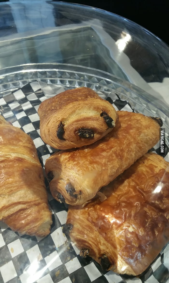 These chocolate croissants look like sloths - 9GAG