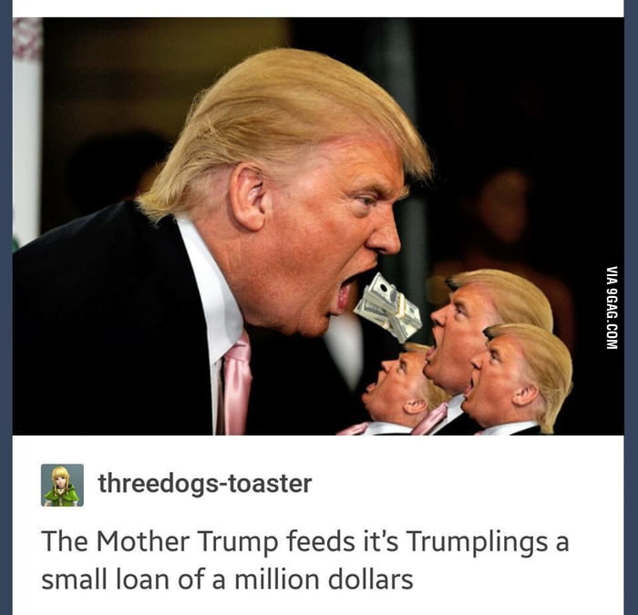 Trumplings - 9GAG