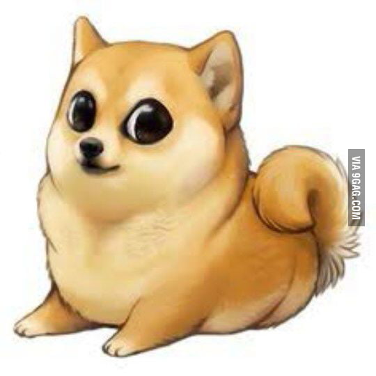 Anime doge. - 9GAG