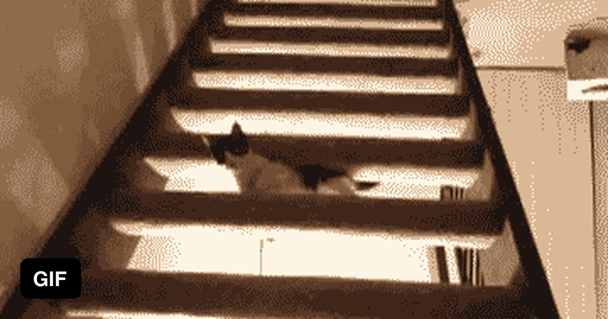 Possessed cat - 9GAG