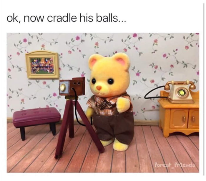 Forest friends - 9GAG