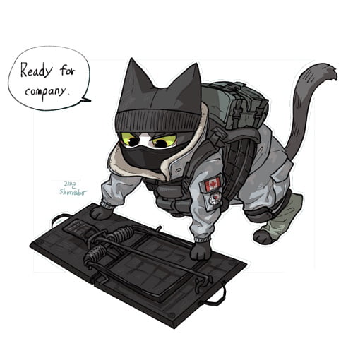 More rainbow six cats. - 9GAG