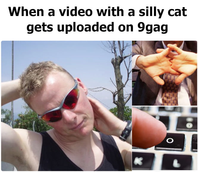 It's always them - 9GAG