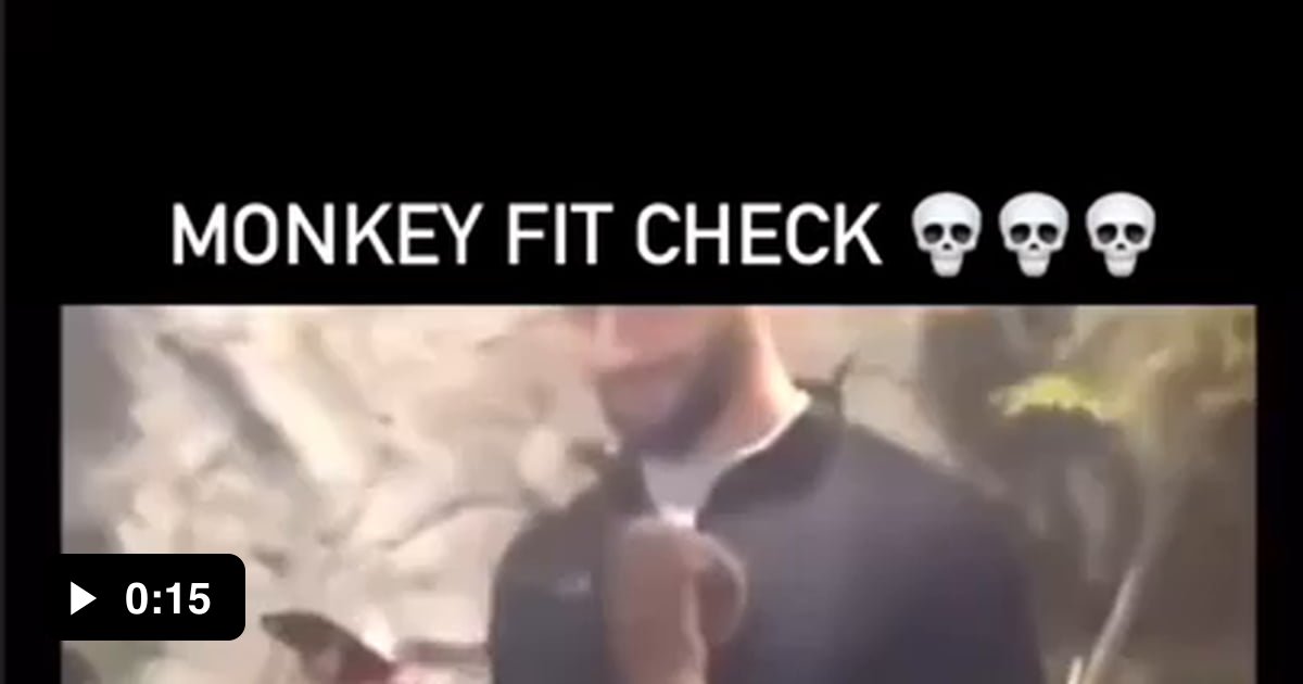 Monkey fit check - 9GAG