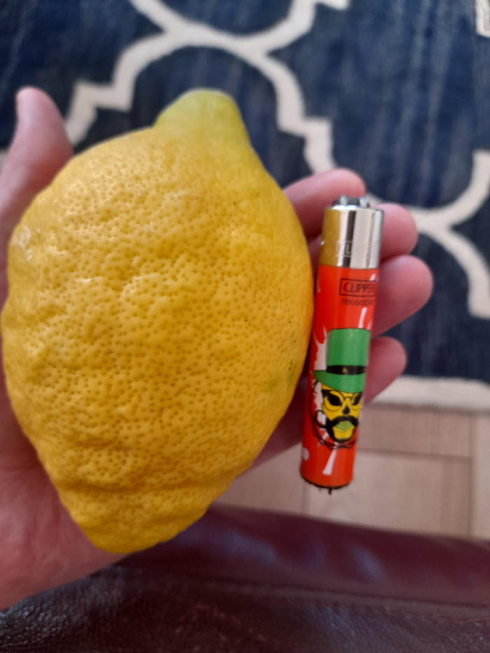 This f**king lemon. - 9GAG