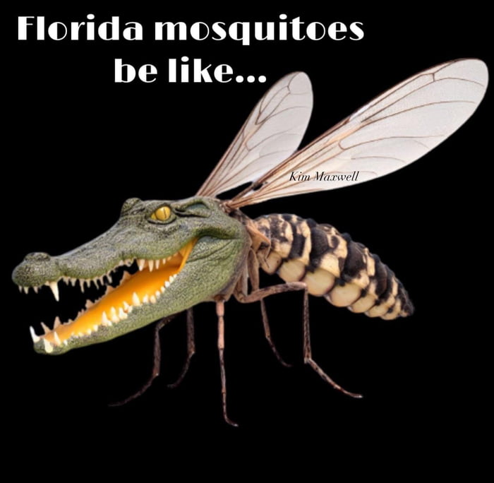 That's actually a magnification of a noseeums - 9GAG