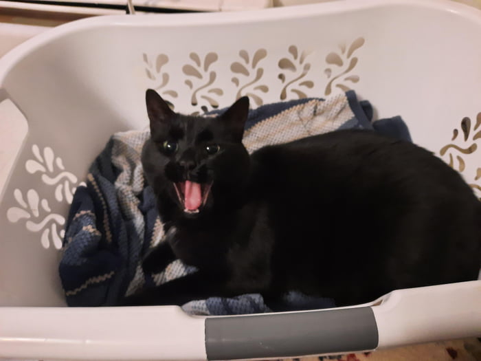 * screams in eternal agony* - 9GAG