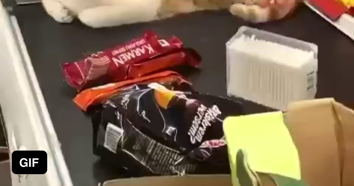 Paper or plastic? - 9GAG