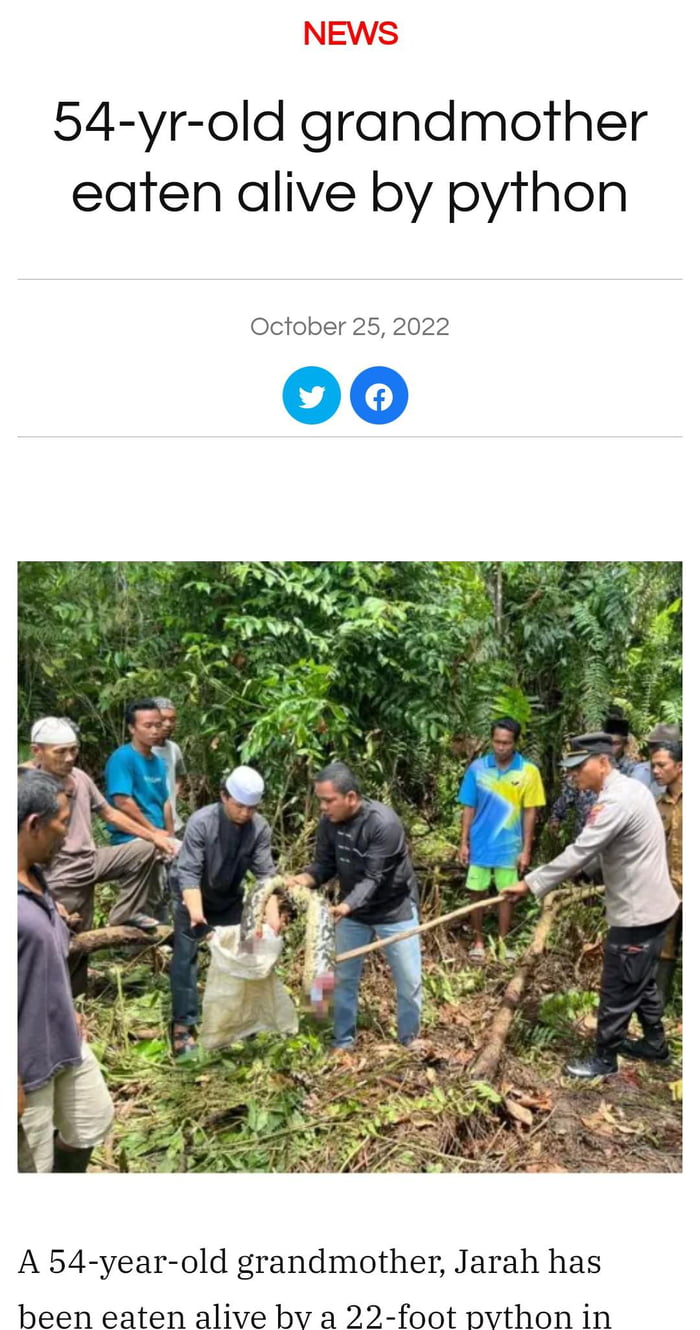 Learn python they said, it'll be good for your career they said - 9GAG