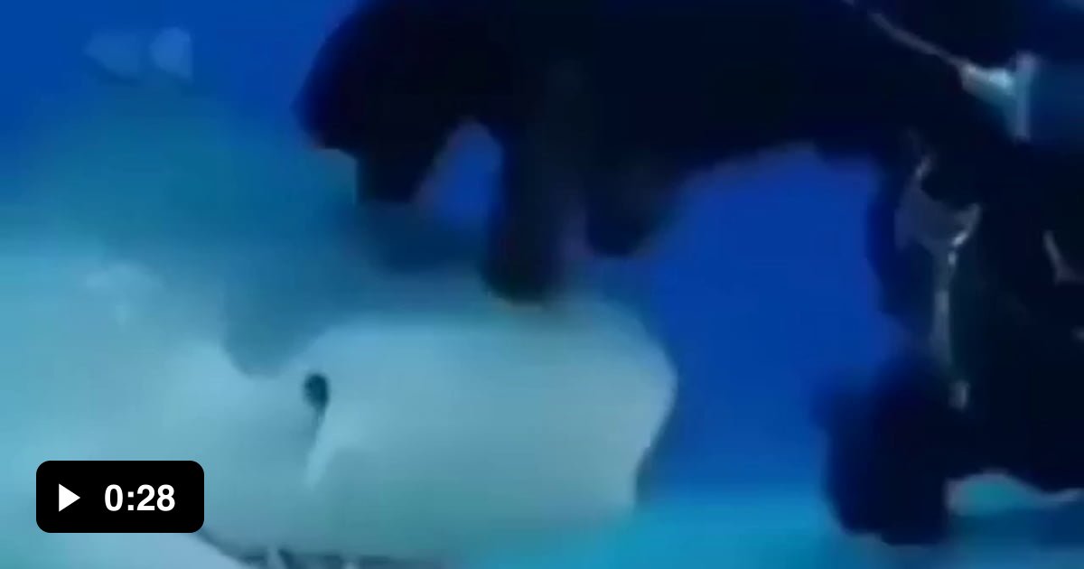 Scratching my fish with autism - 9GAG