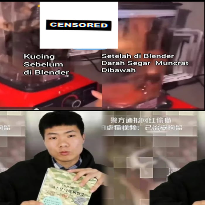 Zu zhihui pelaku blender kucing.. - 9GAG