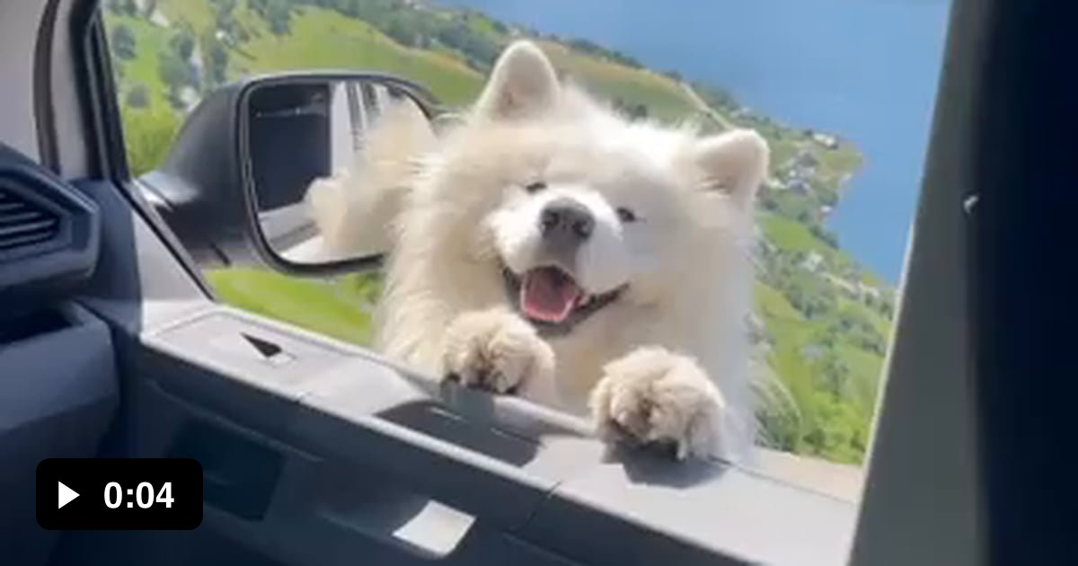 Wednesday wiggles - 9GAG