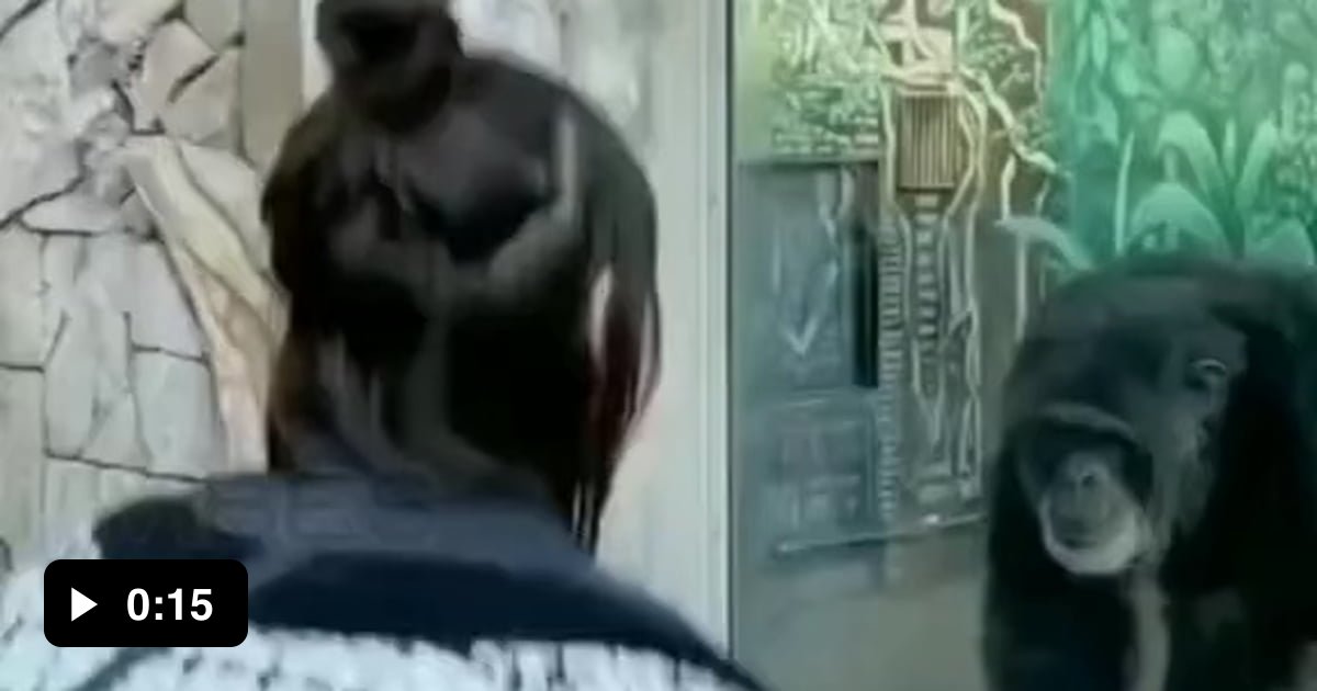 Back to monkey - 9GAG