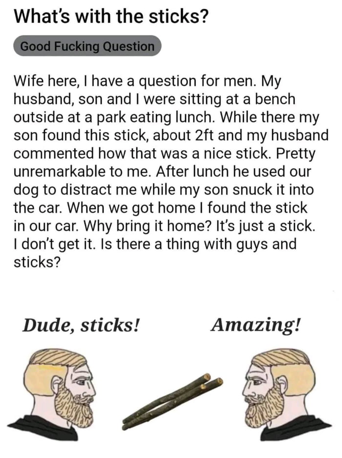 But... Sticks ! - 9GAG