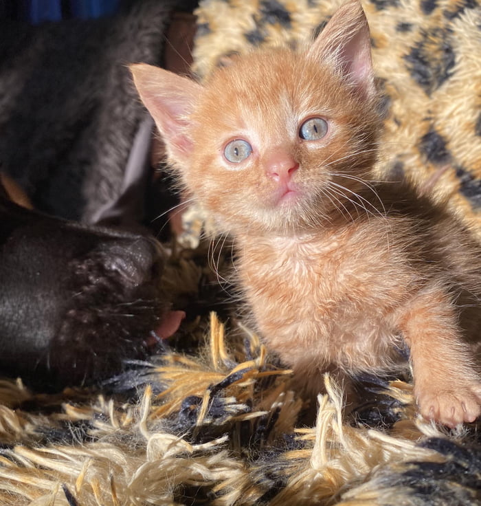 Baby Clementine - 9GAG